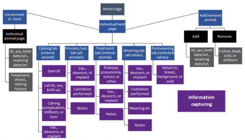 CalfDex: A Free Basic Record App for Cow-Calf Producers | Panhandle ...