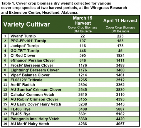 Fall Cover Crop Options and Planting Rates | Panhandle Agriculture