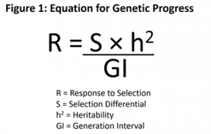 Culling: The Key to Genetic Progress | Panhandle Agriculture