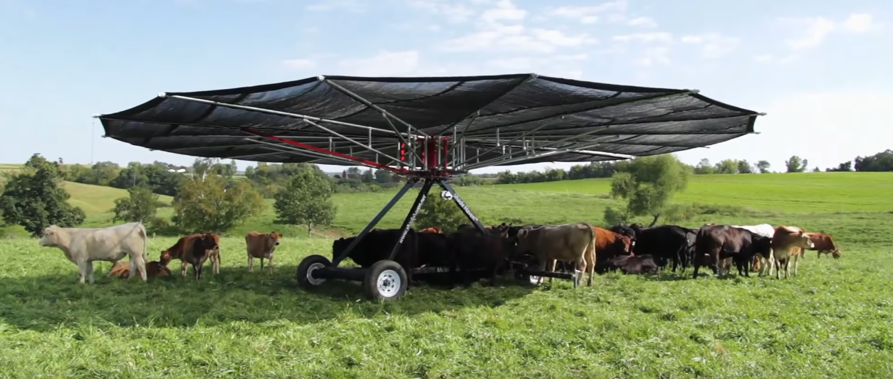 Friday Feature: Portable Shade for Rotational Grazing | Panhandle ...