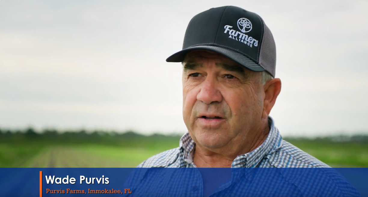 Abigail Purvis's Instagram, Twitter & Facebook on IDCrawl