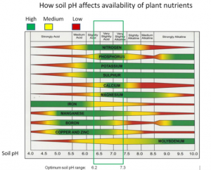 Considerations When Liming Your Fields | Panhandle Agriculture
