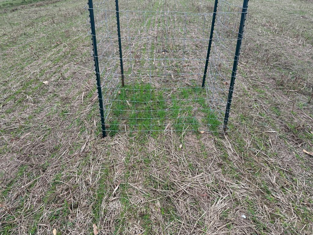 Poor Food Plot Performance – 3 Simple Solutions to Common Problems ...