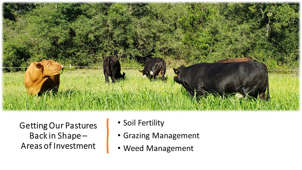 2024 Beef Cattle Conference Highlights and Presentation Links ...