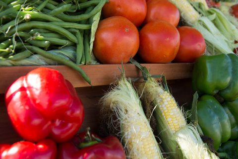 2024 Southeastern US Vegetable Crop Production Handbook | Panhandle ...