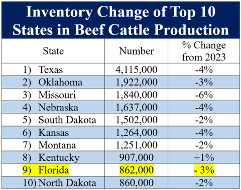 Cattle Market Update: Bi-Annual Cattle Inventory and Market Report ...