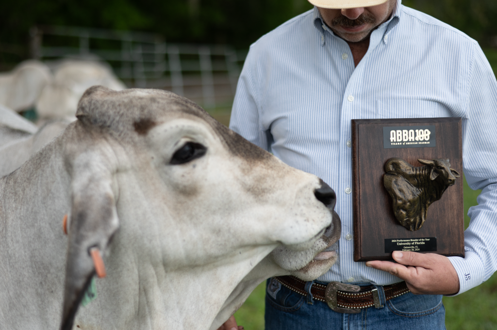 UF Animal Science Department Recognized as ABBA 2024 Performance ...