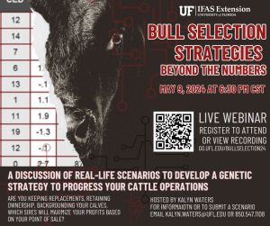 Bull Selection Strategy24 | Panhandle Agriculture