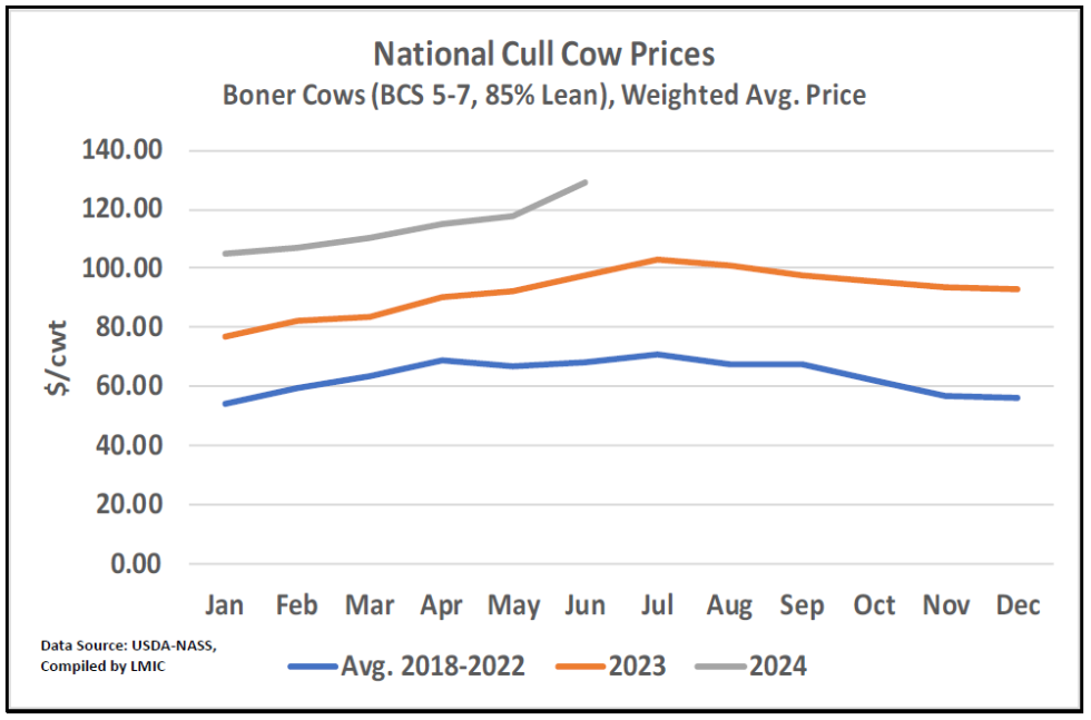 Florida Cattle Market Update: The Cull Cow Market | Panhandle Agriculture
